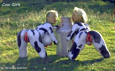 Kinky Stuff A Story Cow Girls