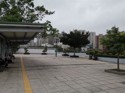 寵物共享公園