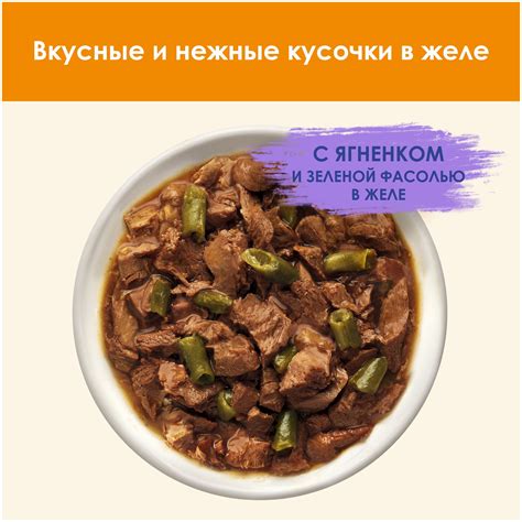 Влажный корм для кошек CAT CHOW с ягненком и зелёной фасолью 24 шт. х ...