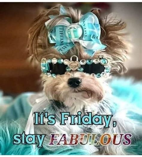 Untitled Funny Day Quotes Friday Quotes Funny Funny Good Morning Quotes