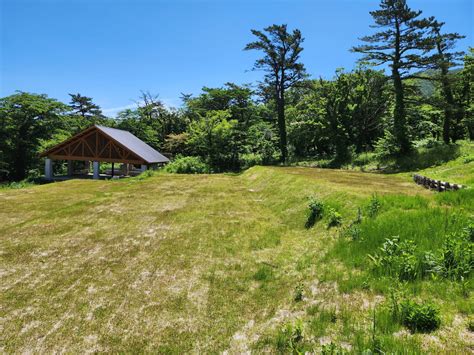 News Campfield Goen Hp