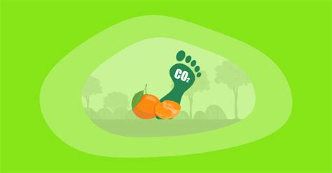 The Environmental Impact Of Bananas From Farm To Table Impactful Ninja