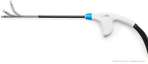 Endocare Cryoablation At Judy Acosta Blog