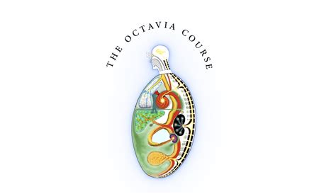The Octavia Course Dr Dan Keown