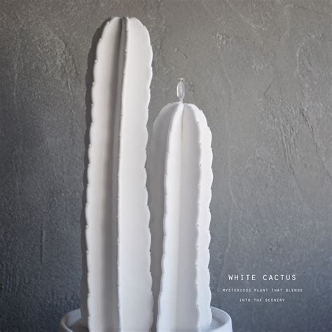 白いサボテンとサボ天使 （鬼面閣） Sabotensi