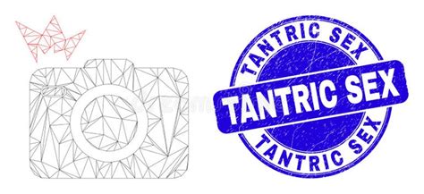 Blue Scratched Tantric Sex Stamp Seal And Web Carcass Photo Flash Stock