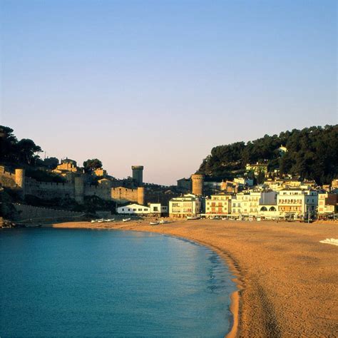 Derivative Hedge And Speculation Vista Wealth