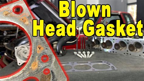 Why Is A Blown Head Gasket Bad at Kayla Clubbe blog