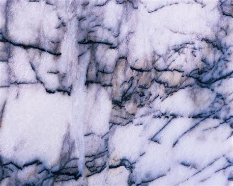 White Marble Formsfly Support