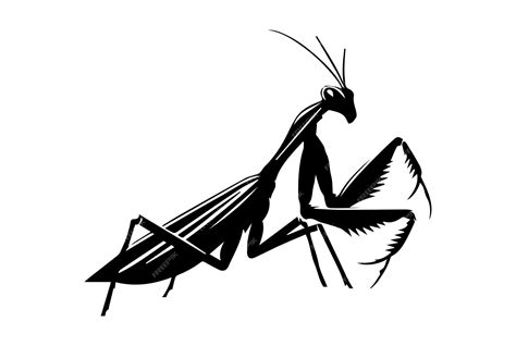Mantis Vector Png Premium Ai Generated Vector