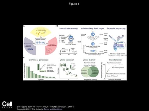 Volume 19 Issue 7 Pages May 2017 Ppt Download