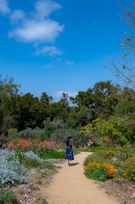 What To Expect At Soar South Coast Botanic Garden Wenwensong