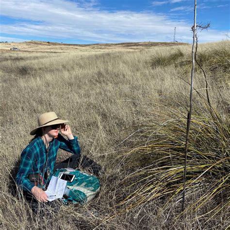 Sky Island Alliance Friday Flora Feature Bear Grass