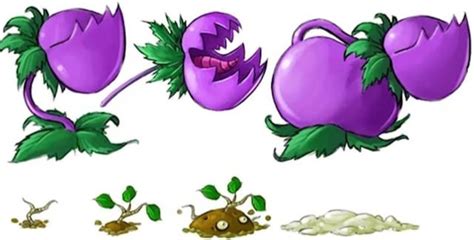 Early Pvz 1 Designs Got These From Koalaom On Youtube R Plantsvszombies