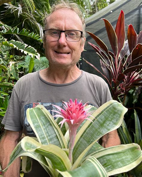 Some Aechmea Fasciata Tropical Garden Society Of Sydney