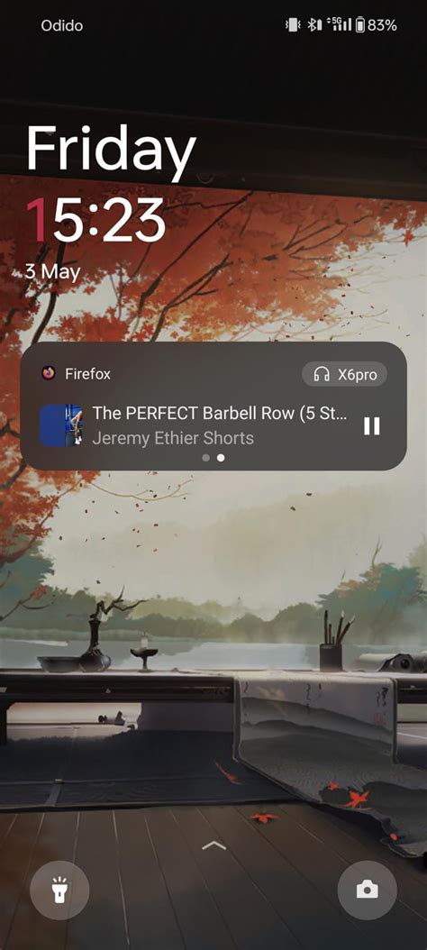 Possible Bug Roneplus