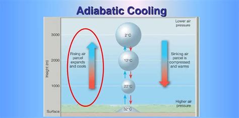 Adiabatic Cooling Reedfox