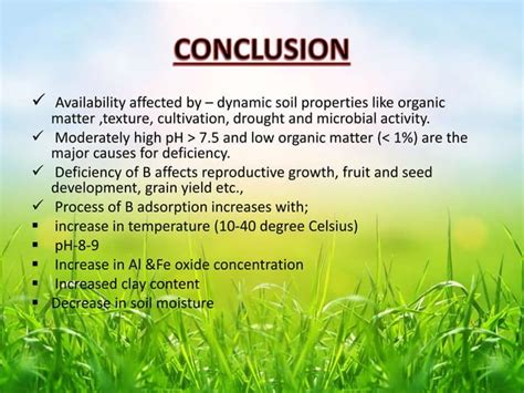 Essentiality Of Boron In Plant Growth Nutrient Management Ppt