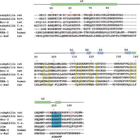 Figure 1 From Structural Basis Of Rab Effector Specificity Crystal Structure Of The Small G