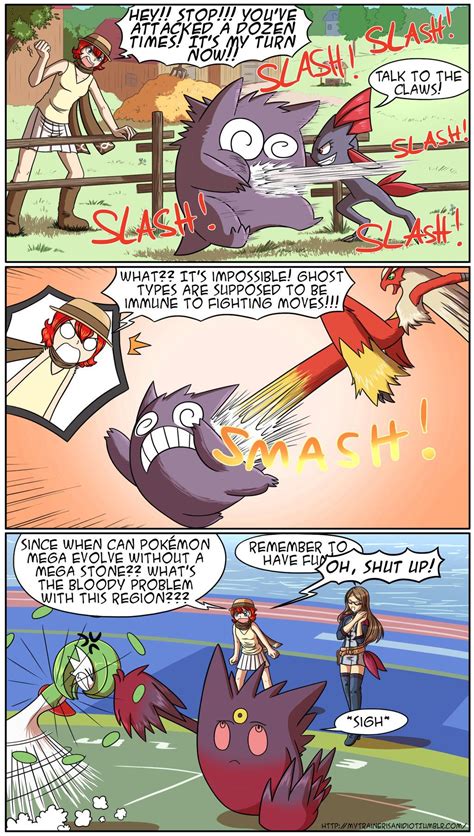 My Trainer Is An Idiot C 22 By Adanel Zoroark Pokemon Pokemon Alola