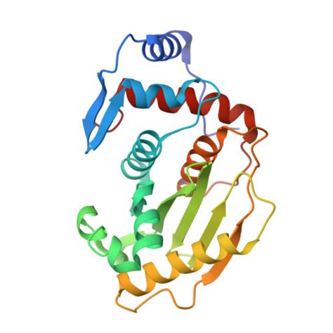 Rcsb Pdb 1euv X Ray Structure Of The C Terminal Ulp1 Protease Domain In Complex With Smt3