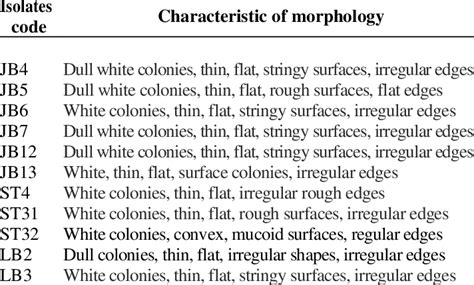 Morphological Characteristics Of Phyllosphere Bacteria Download