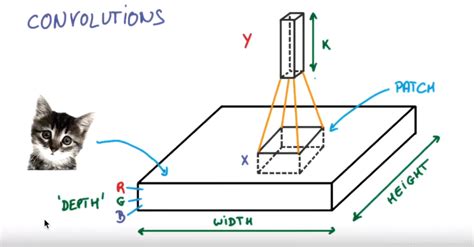 Cnn卷积神经网络实例基于pytorch卷积神经网络的实例 Csdn博客