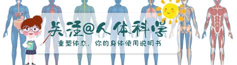 【动作评估】sfma初阶评估方法汇总（含评估表） 知乎