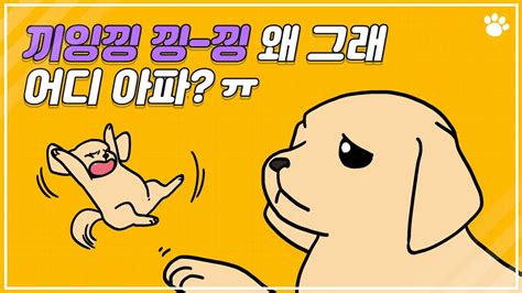낑낑거리며 우는 강아지 낑낑 소리 내는 이유 7가지 Youtube