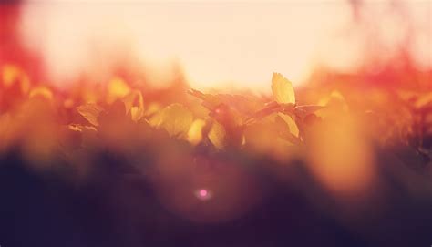 Warm Colors Wallpapers Wallpaper Cave