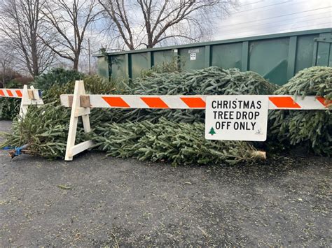 Christmas Tree Disposal Sites Open Across Indianapolis Fox 59