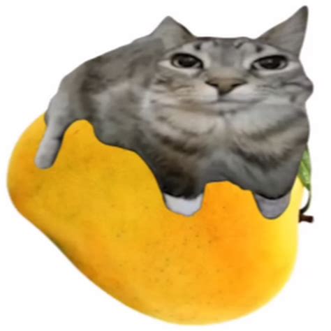 Mango Cat Youtube