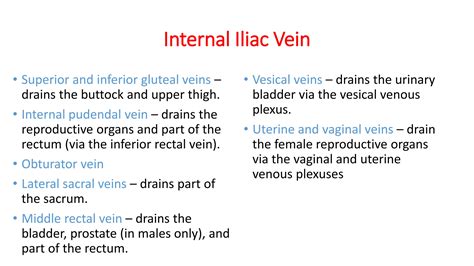Arterial Supply And Venous Drainage Of Pelvispptx