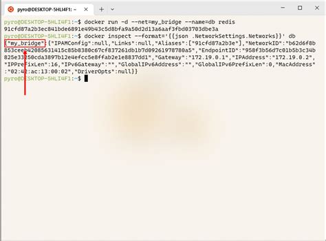 Docker 사용법 3 네트워크 구성