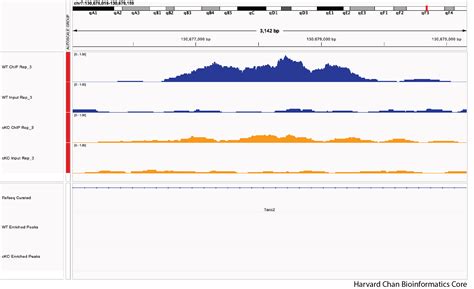 Peak Visualization Using A Genome Browser Peak Analysis