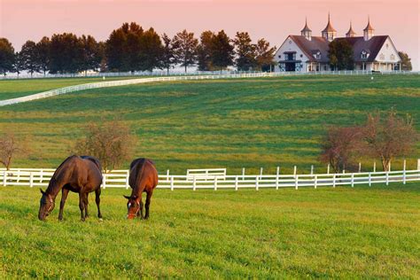 The 6 Best Horse Farm Tours In Lexington Kentucky