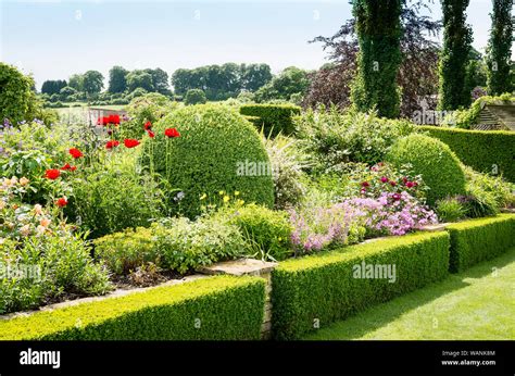 Mixed Berbaceous Border In An English Garden In June With Box Hedging