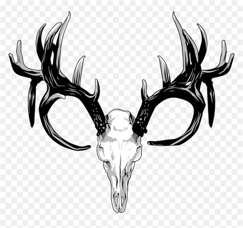 Deer Skull Clip Art