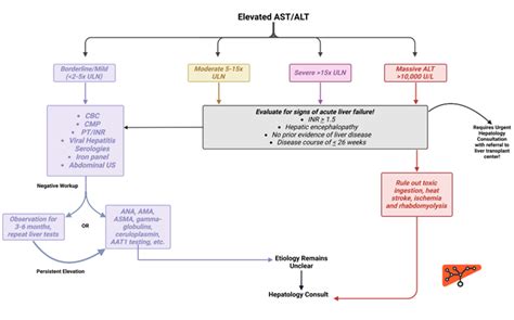 How To Approach Elevated Liver Enzymes Aasld