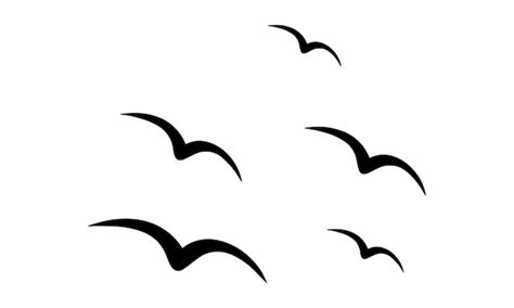 Premium Vector Flying Birds Vector And Illustration