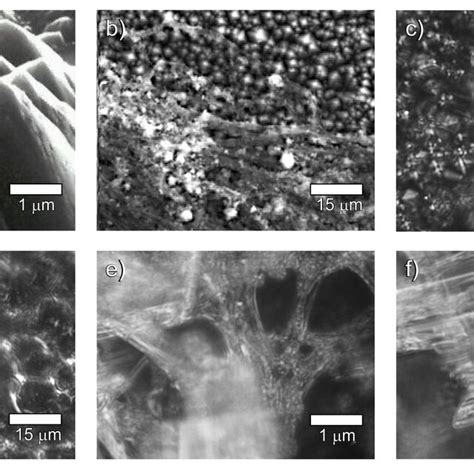 Image Of The Hybrid Surface Under Investigation A Sem And B F