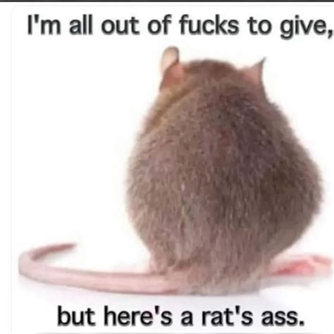 Mice And Men Memes