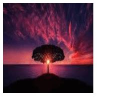 CSS Image Opacity How Does Image Opacity Works In CSS