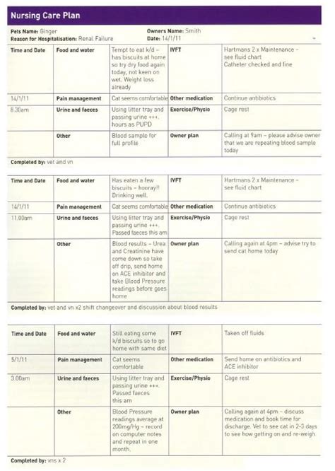 Working With Nursing Care Plans Part 2 Using The Nursing Care Plan By