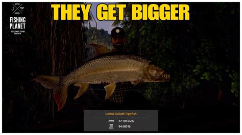 Goliath Tigerfish Guide Hotspots To Fish At The Congo River In Africa