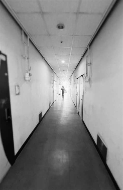 일상 찰칵찍당 다모앙