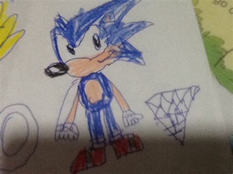 Sonic Flashcards Memorang