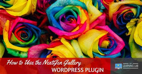 how to use the nextgen gallery wordpress plugin