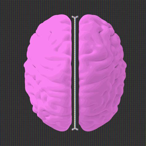 Pinky And The Brain Animated 