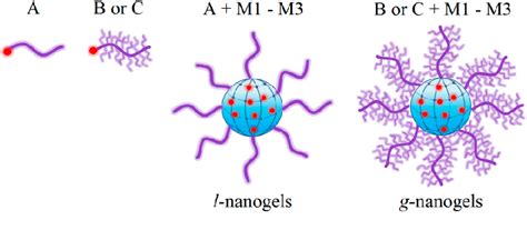 Figure 8 From Modern Trends In Polymerization Induced Self Assembly Semantic Scholar